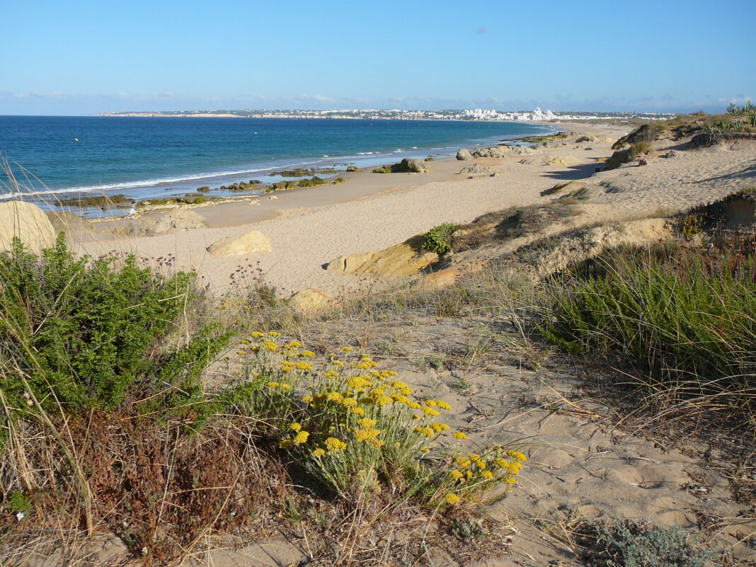 Unternehmungen in Faro mit Kindern - Weltreisetipps
